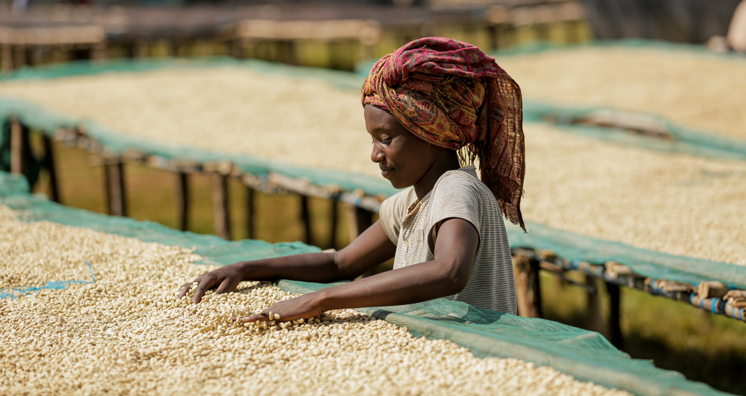 Coffee – Joki Coffee