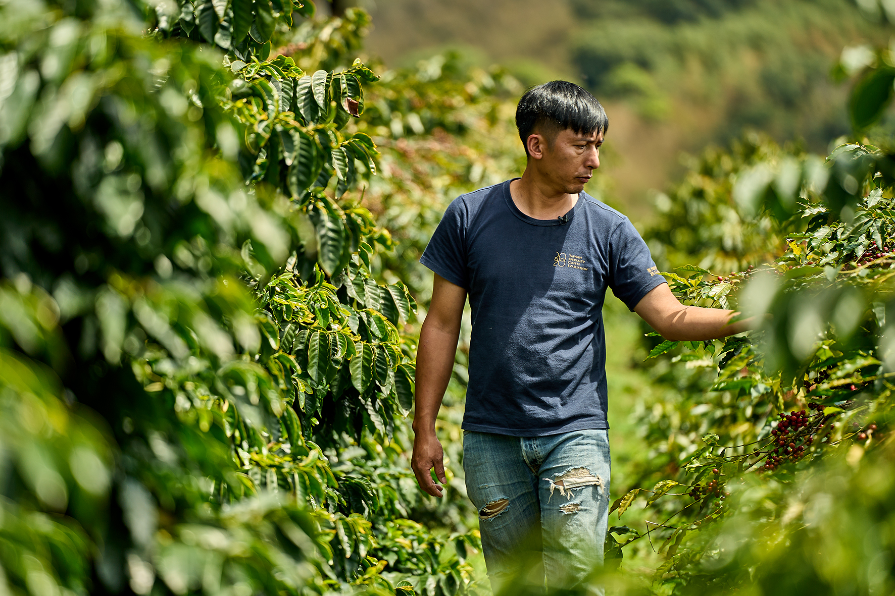 Coffee – Joki Coffee